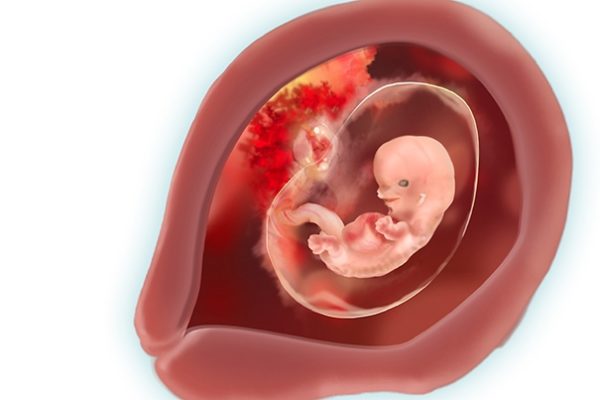 8 Weeks Pregnant Symptoms, Prenatal Tips & More about Baby