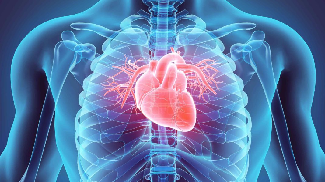 What is Cardiovascular Disease? Types Causes and Treatment - HealthPulls