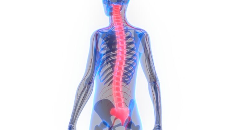 Spinal Shock: Causes, Symptoms, Diagnosis & Treatment - HealthPulls