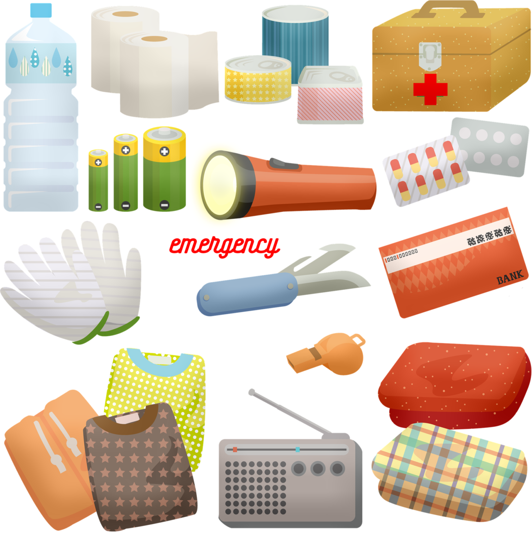 Checklist for a Forest First Aid Kit - HealthPulls